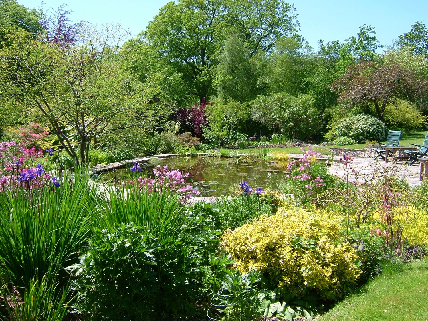 Members Open Garden : Kilmington Nr Axminster – The Hardy Plant Society ...