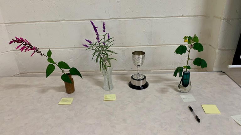 The Hardy Plant Society Somerset Group – Gardening with Hardy Perennials