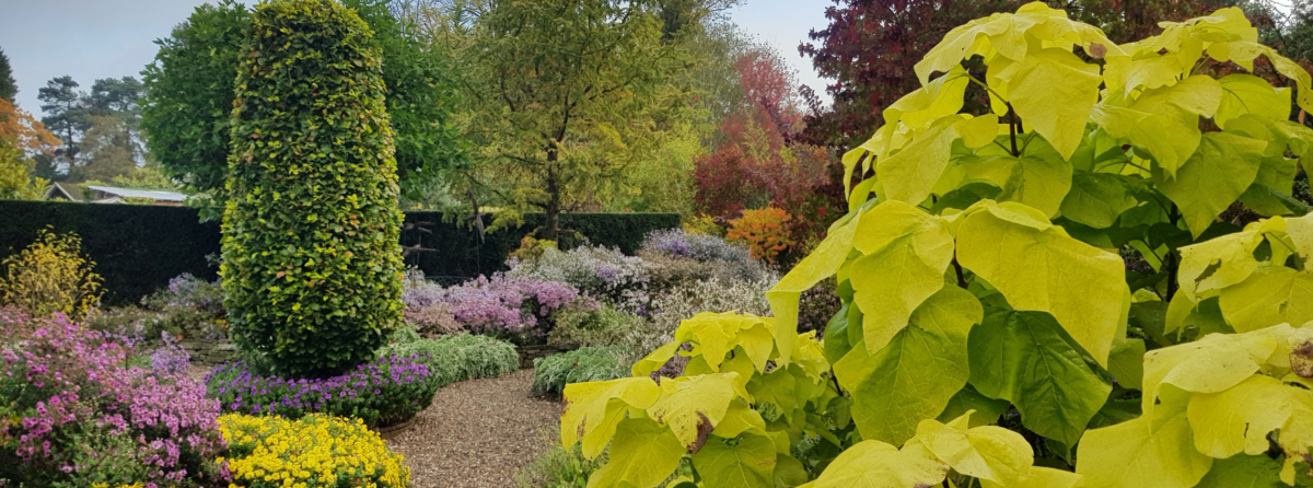 Next Meeting: Saturday 18th, Helen Picton – The Hardy Plant Society ...