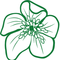 Meeting Reminder: Saturday 17th January – The Hardy Plant Society ...