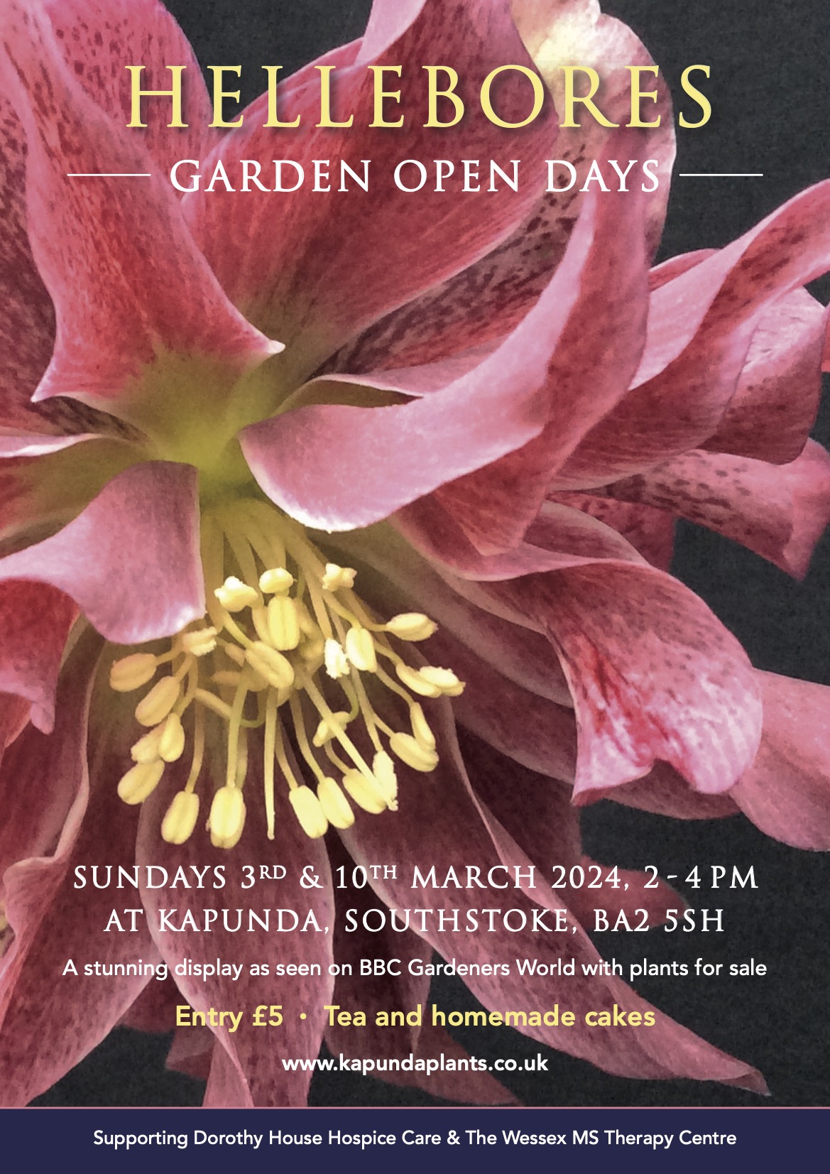 Kapunda Hellebores Open Day – The Hardy Plant Society Somerset Group