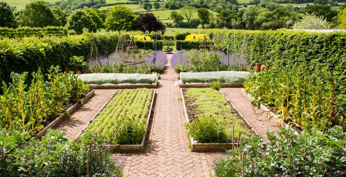 Early Spring Plant Fair Tickets – The Hardy Plant Society Somerset Group