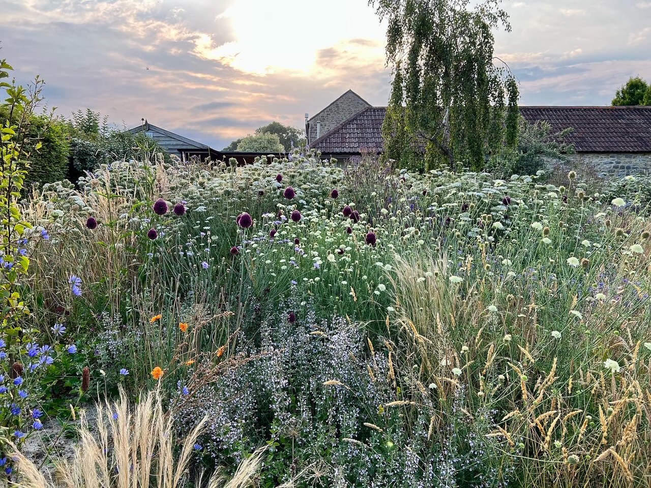 Member Open Garden – 1st/2nd June – The Hardy Plant Society Somerset Group