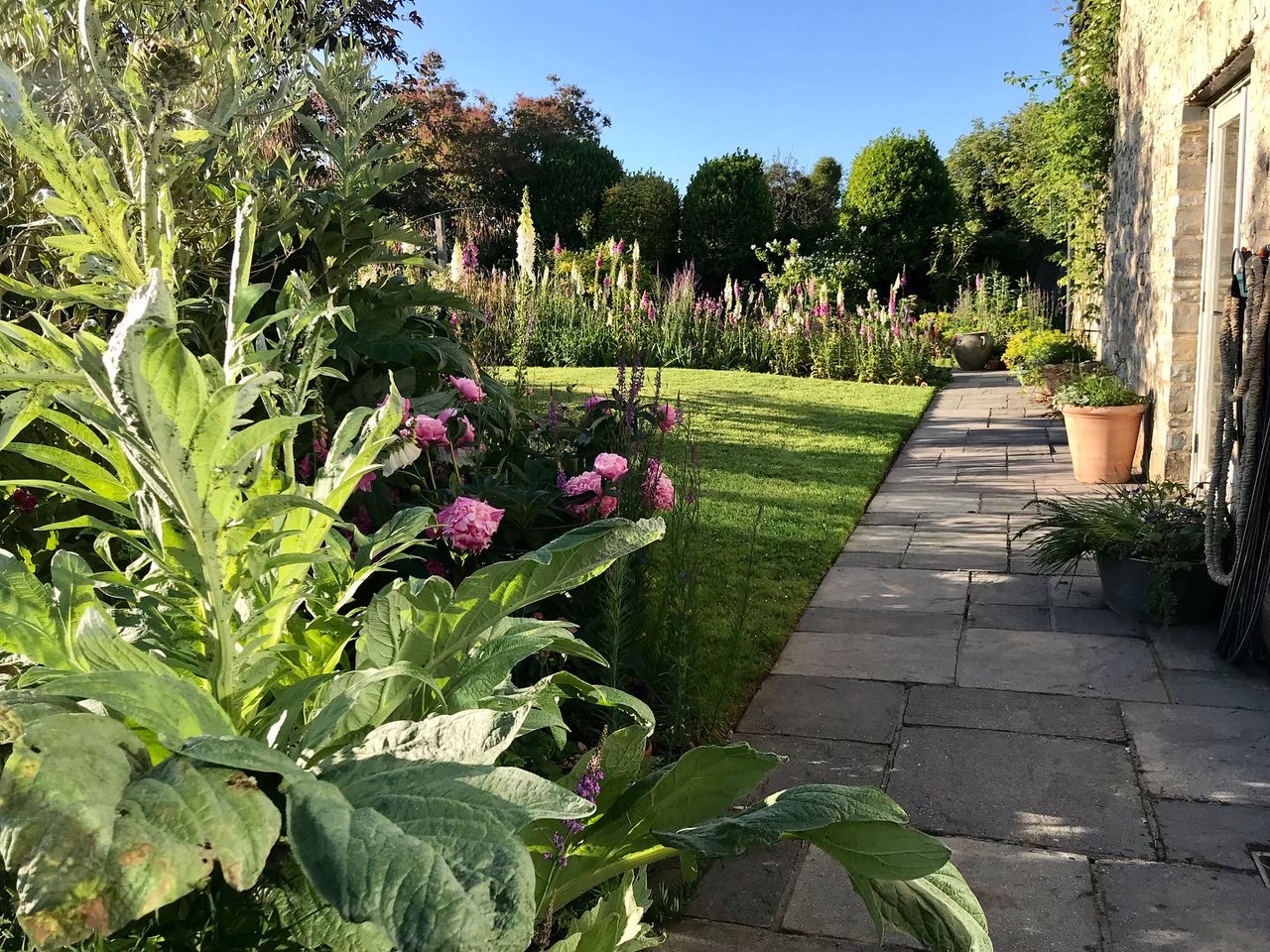 Member Open Garden – 1st/2nd June – The Hardy Plant Society Somerset Group
