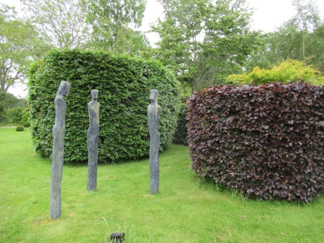 June 2024 Update – The Hardy Plant Society Somerset Group