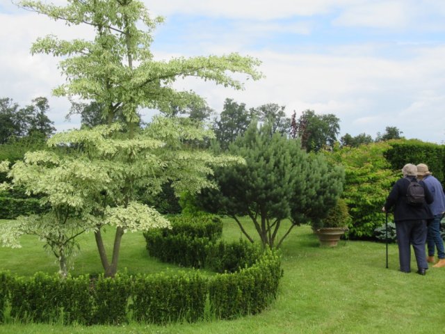 June 2024 Update – The Hardy Plant Society Somerset Group