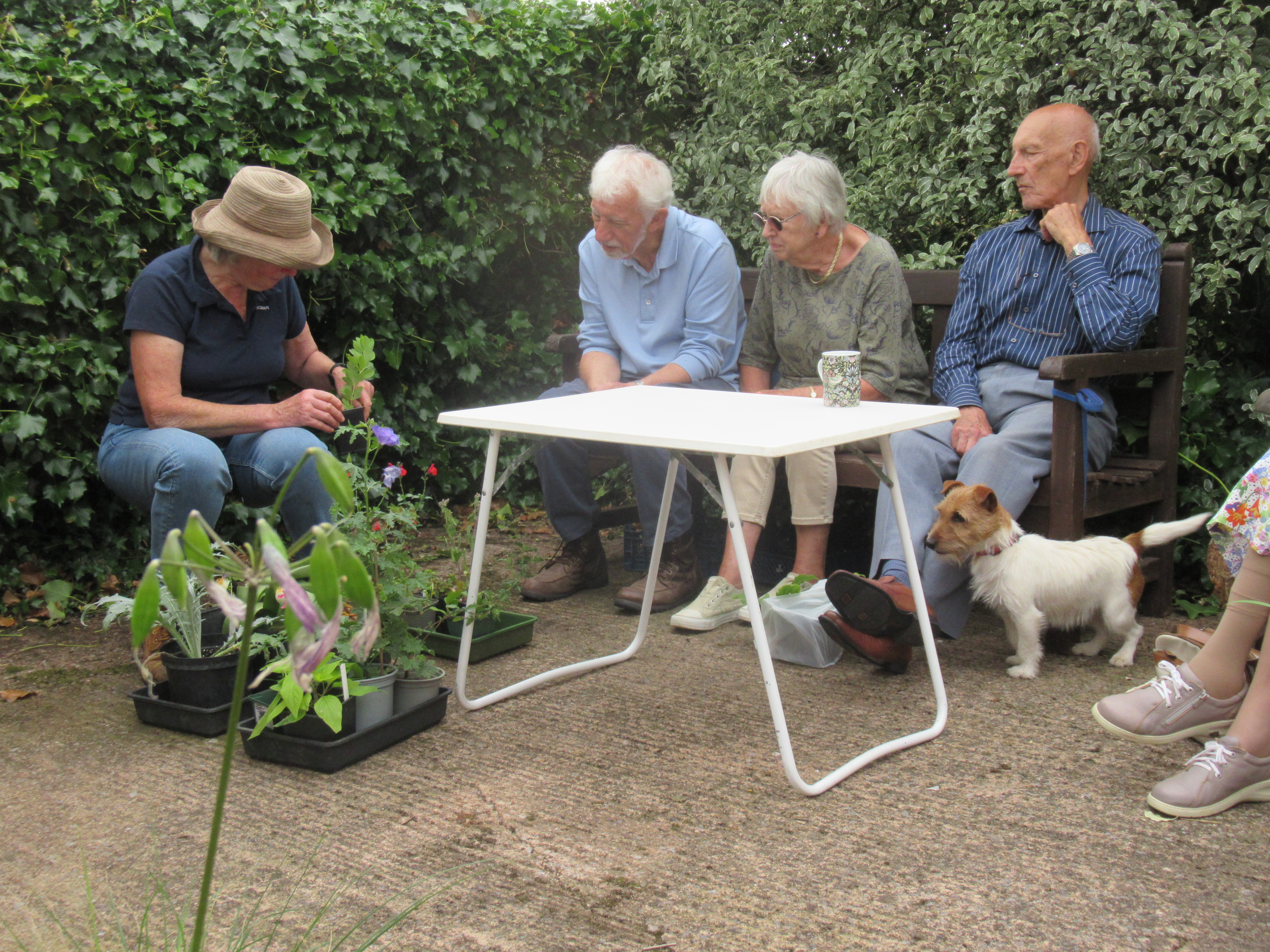 September Update – The Hardy Plant Society Somerset Group