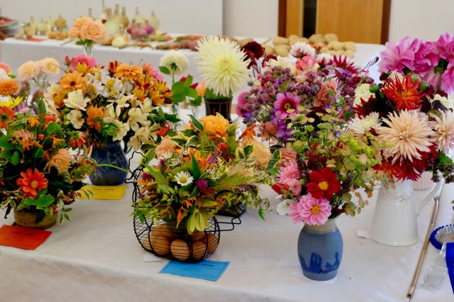 Summer 2025 Update – The Hardy Plant Society Somerset Group
