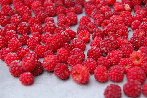 Talks Resume on September 20th – Unusual Edibles – The Hardy Plant ...